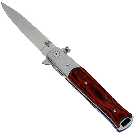 8 1 /2" Folding Spring Assisted Knife
